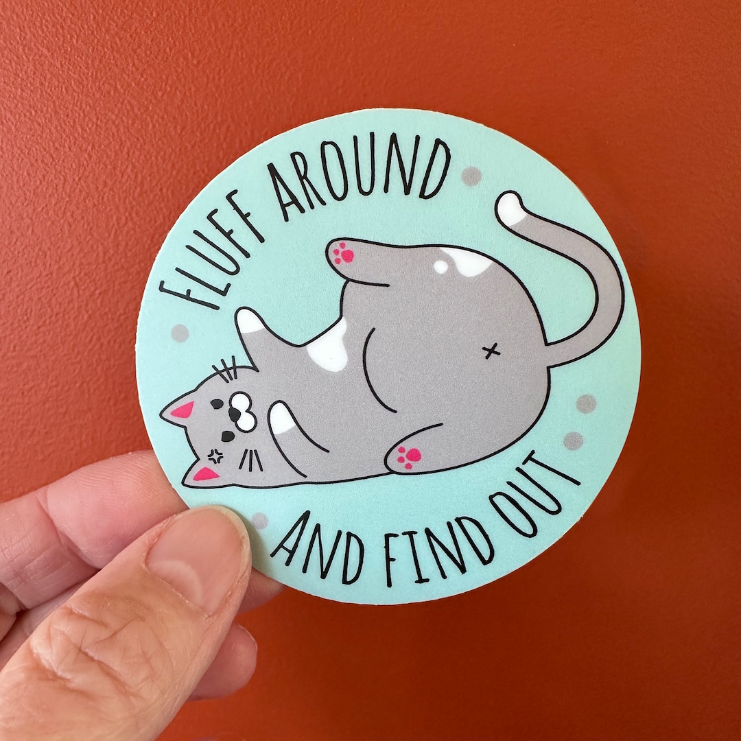 Recorre y descubre: divertida calcomanía de vinilo de gato, humor ...