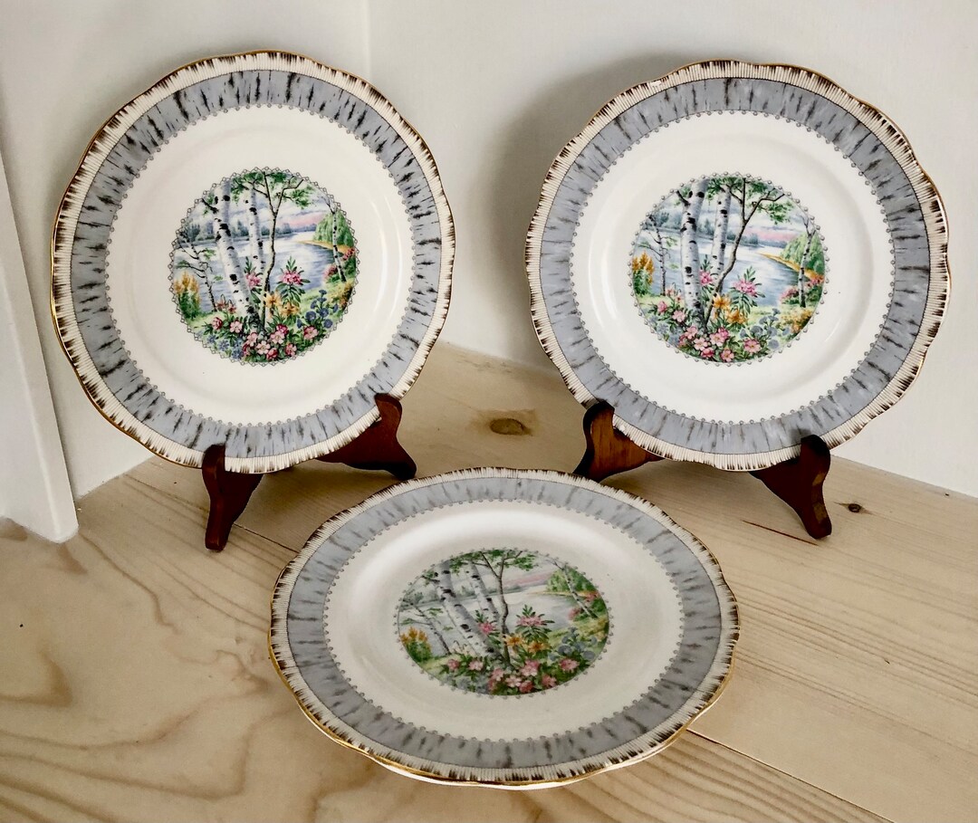 Royal Albert Silver Birch Salad Plates 3PCS - Etsy
