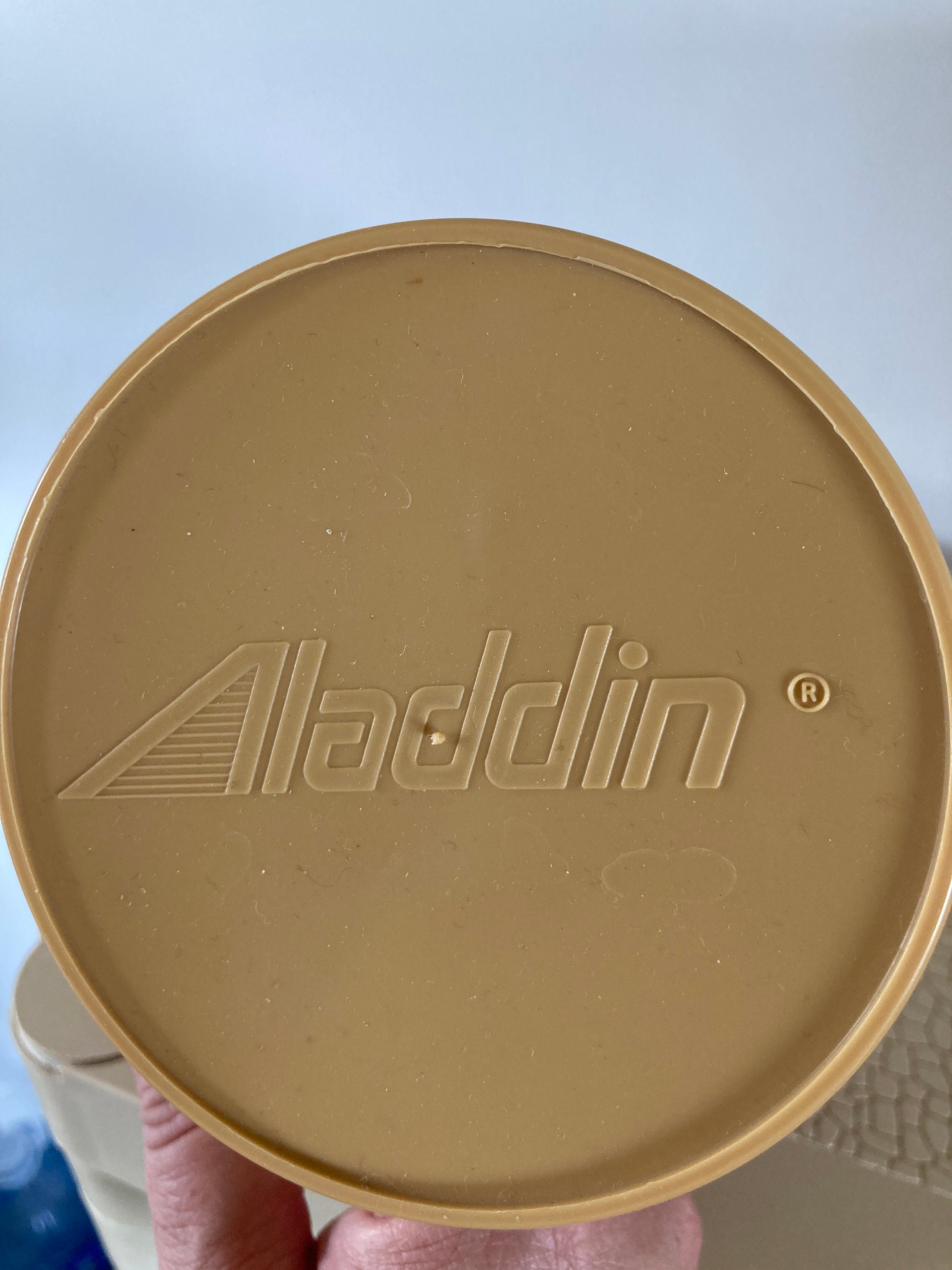 Vintage Aladdin Insulated Drinking Container for Hiking and Picnics ...