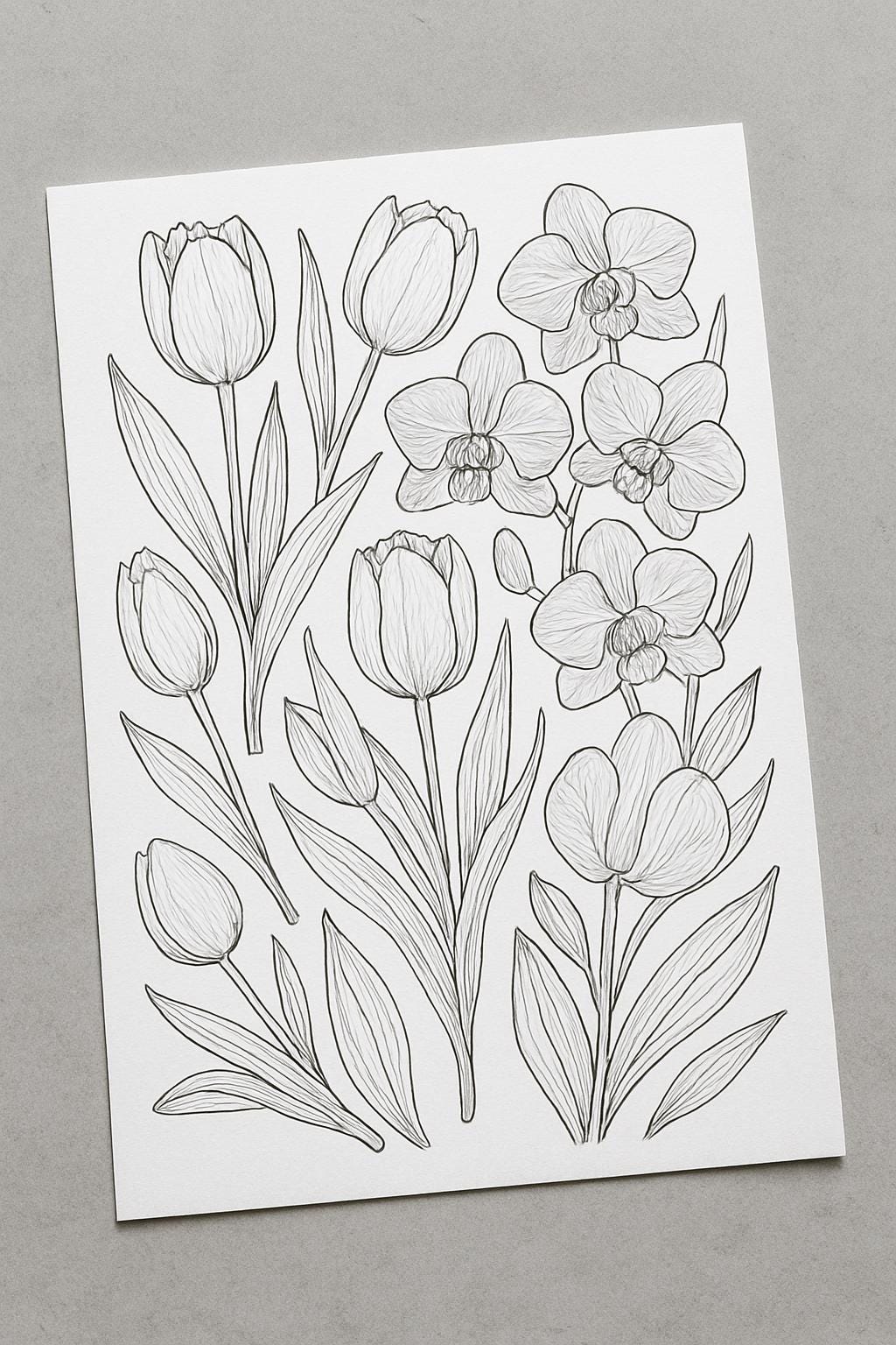 Flower Variations Colouring Pages - Etsy