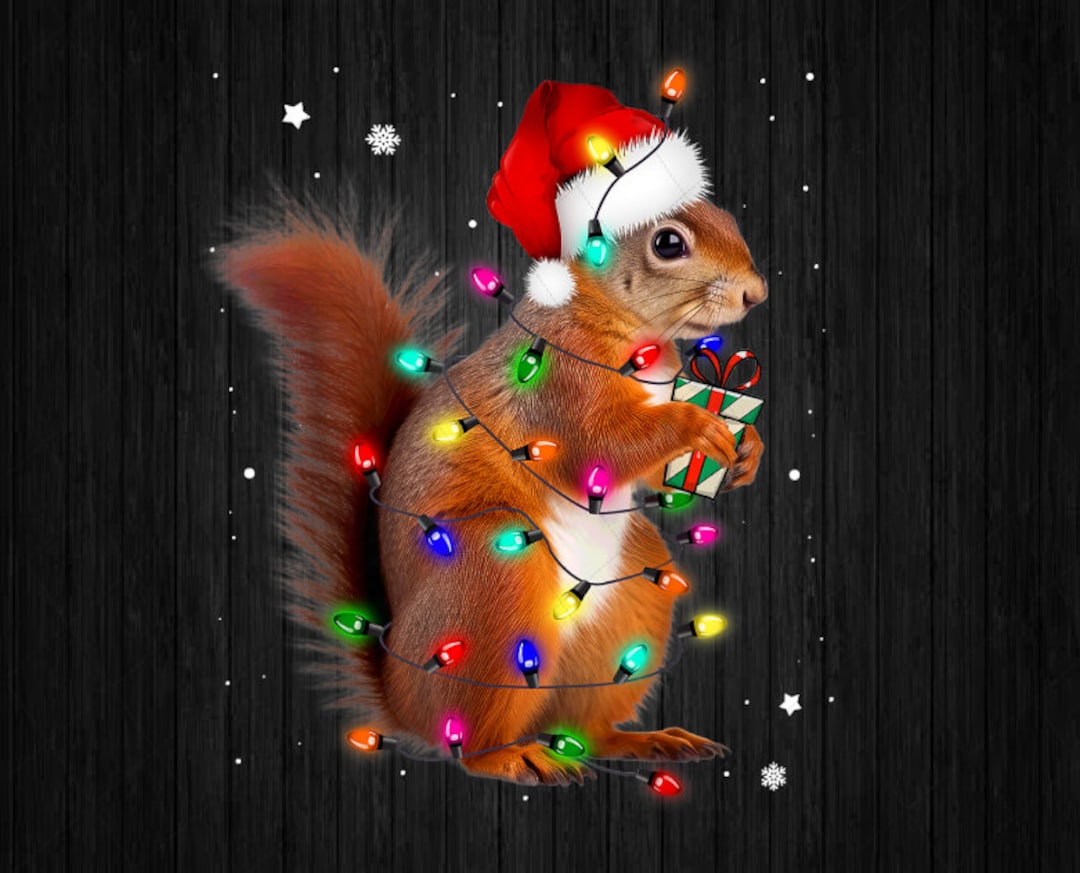 PNG ONLY Squirrel Christmas Hat Santa Light Png, Squirrels Lover Xmas ...