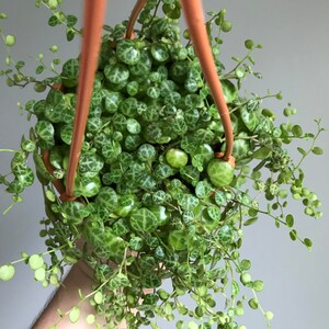 String - Etsy