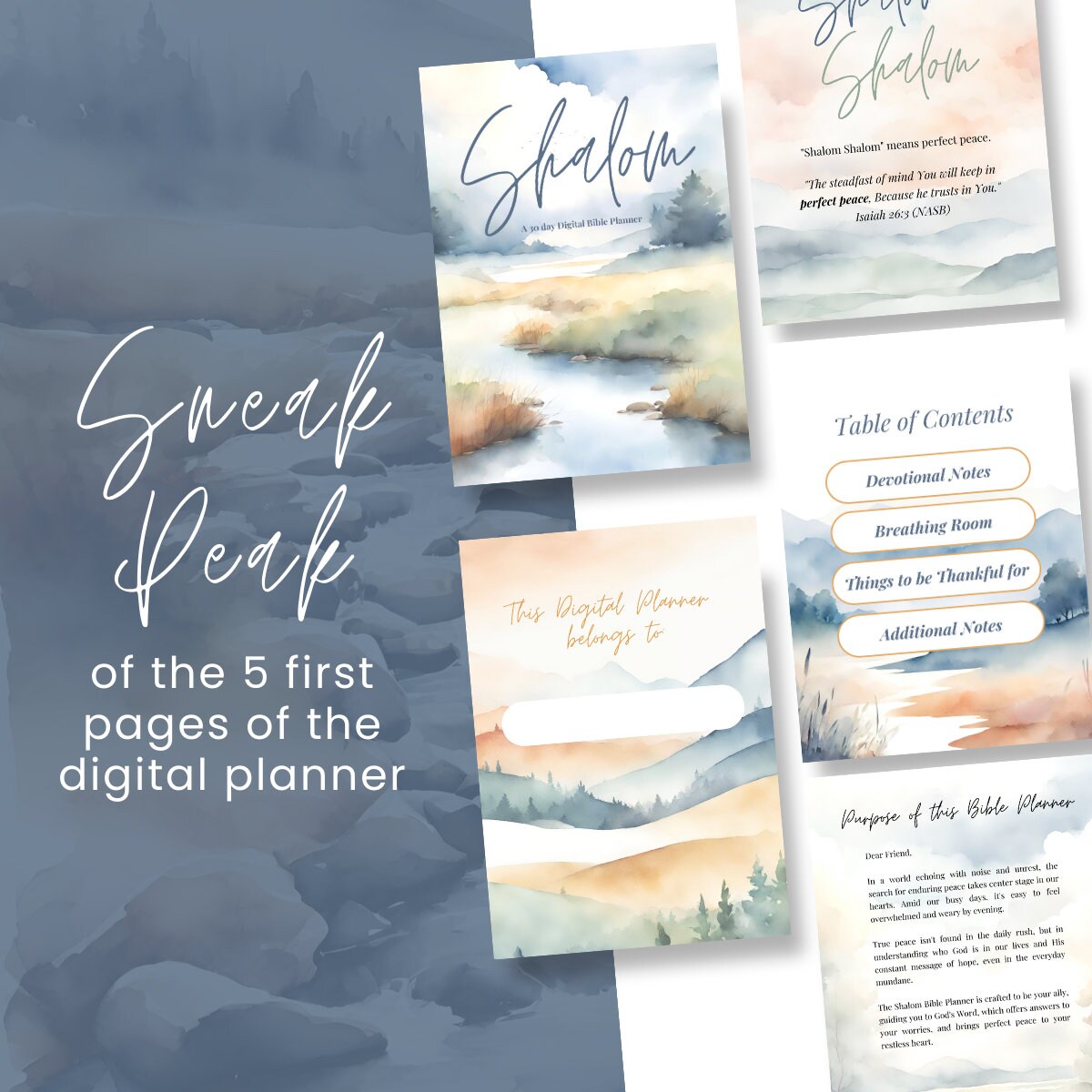 Shalom Bible Planner Printable Christian Planner Goodnotes - Etsy