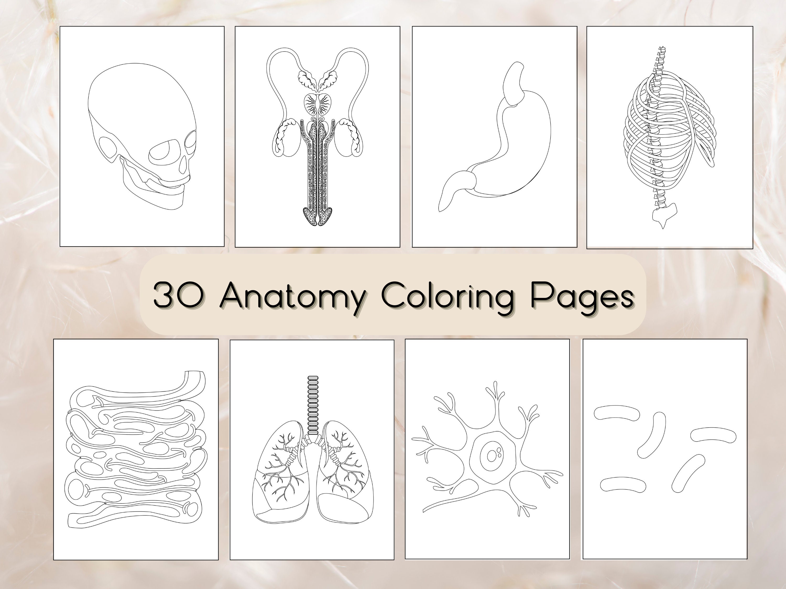30 Anatomy Coloring Pages Anatomy Coloring Pages Relaxing Stress Relief ...
