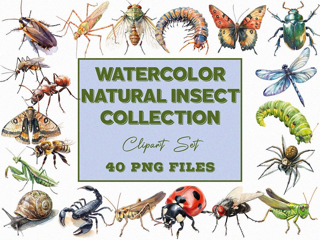 Watercolor Bugs Clipart Watercolor Insects Spider Butterfly Clipart ...
