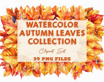 Autumn Leaves Clipart, Watercolor Fall Leaf Clipart Bundle, Fall Leaves ...