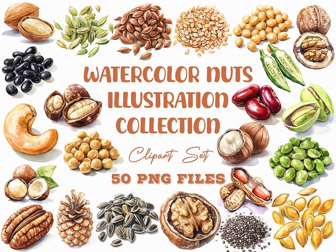 Watercolor Nuts Clipart Nuts Bundle Wallnut PNG Almond PNG Nuts Clipart ...