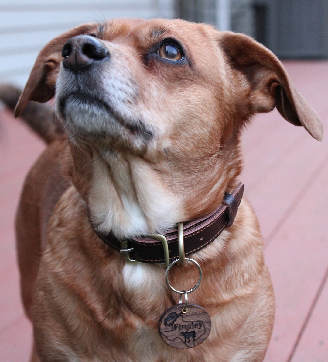 Personalized Texas State Pet ID Tag, Rustic Pet Tag, Handmade, Wooden ...