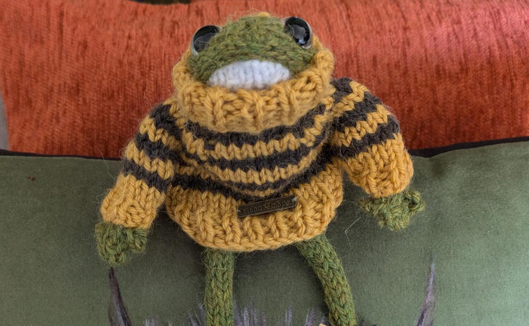 Knitted Frog With Sweater - Etsy