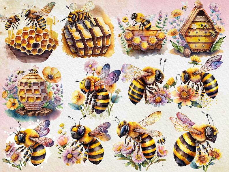 Watercolor Honey Bee Clipart Bundel 52 Transparent PNG Digital Image ...