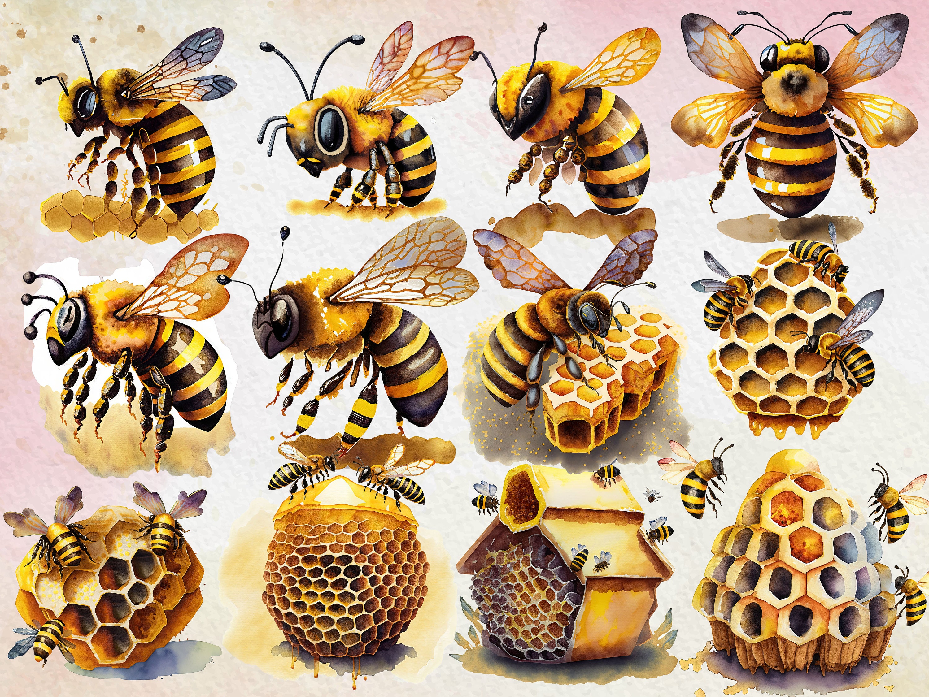 Watercolor Honey Bee Clipart Bundel 52 Transparent PNG Digital Image ...