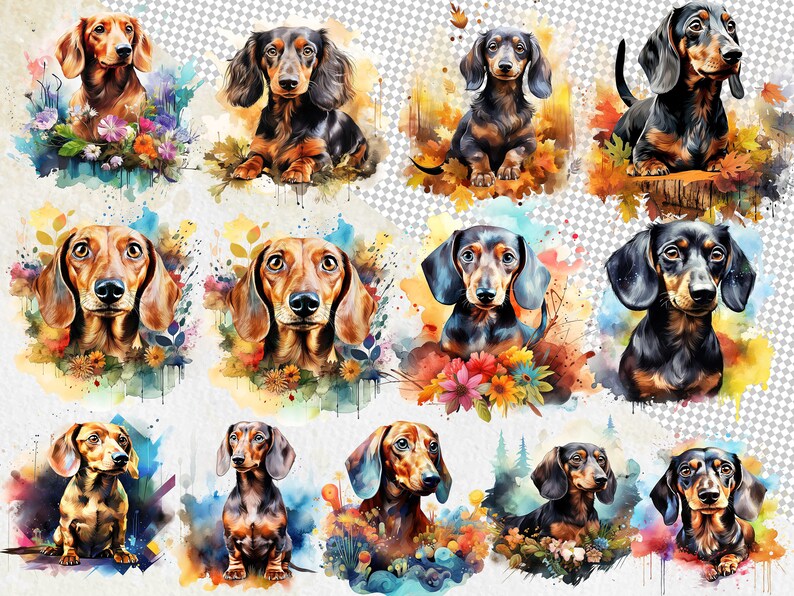 Watercolor Dachshund Clipart Bundle 100 Png's, Dachshund Images ...