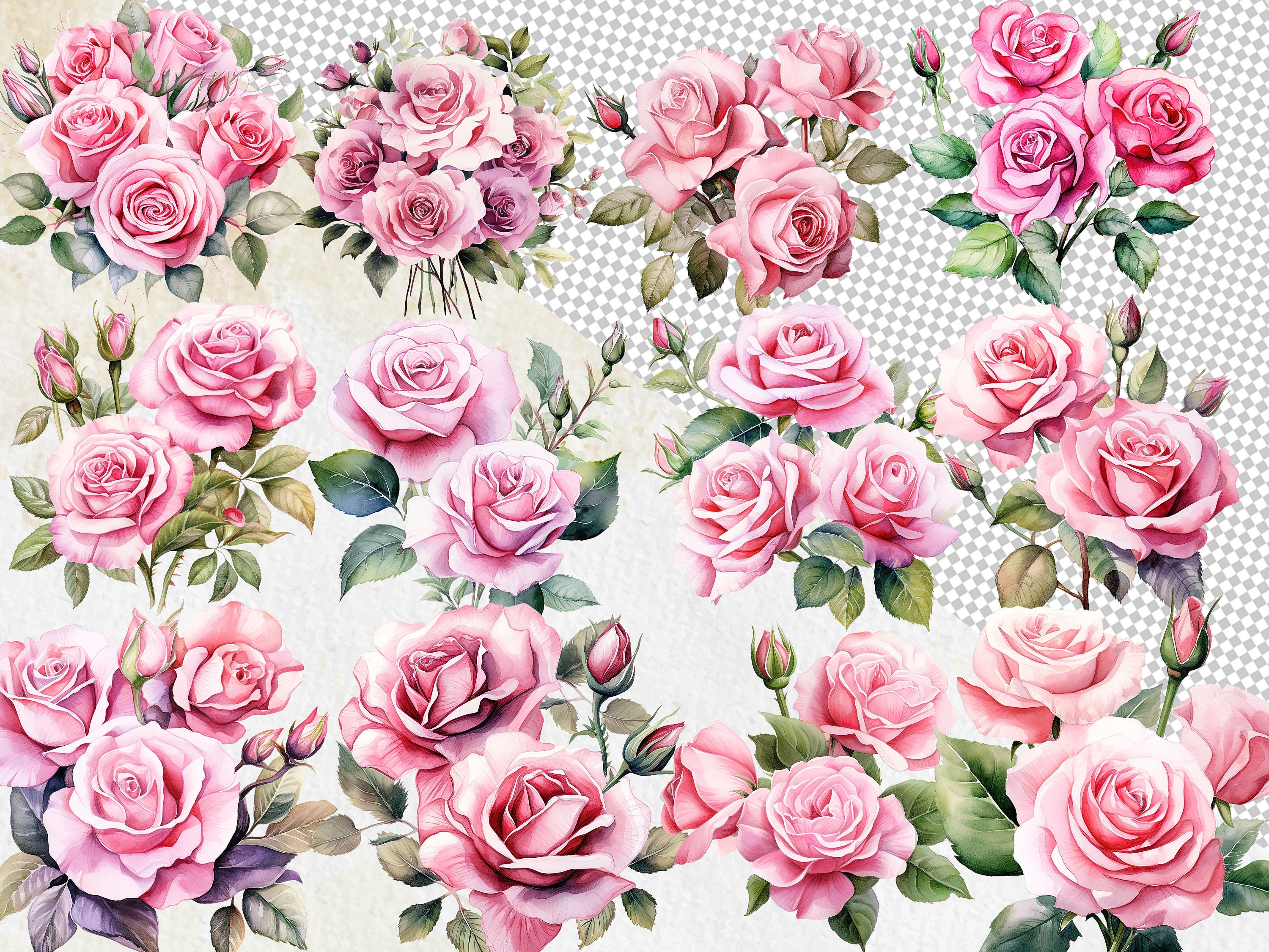 Watercolor Pink Roses Clipart Bundle 100 Png's, Beautiful Floral ...