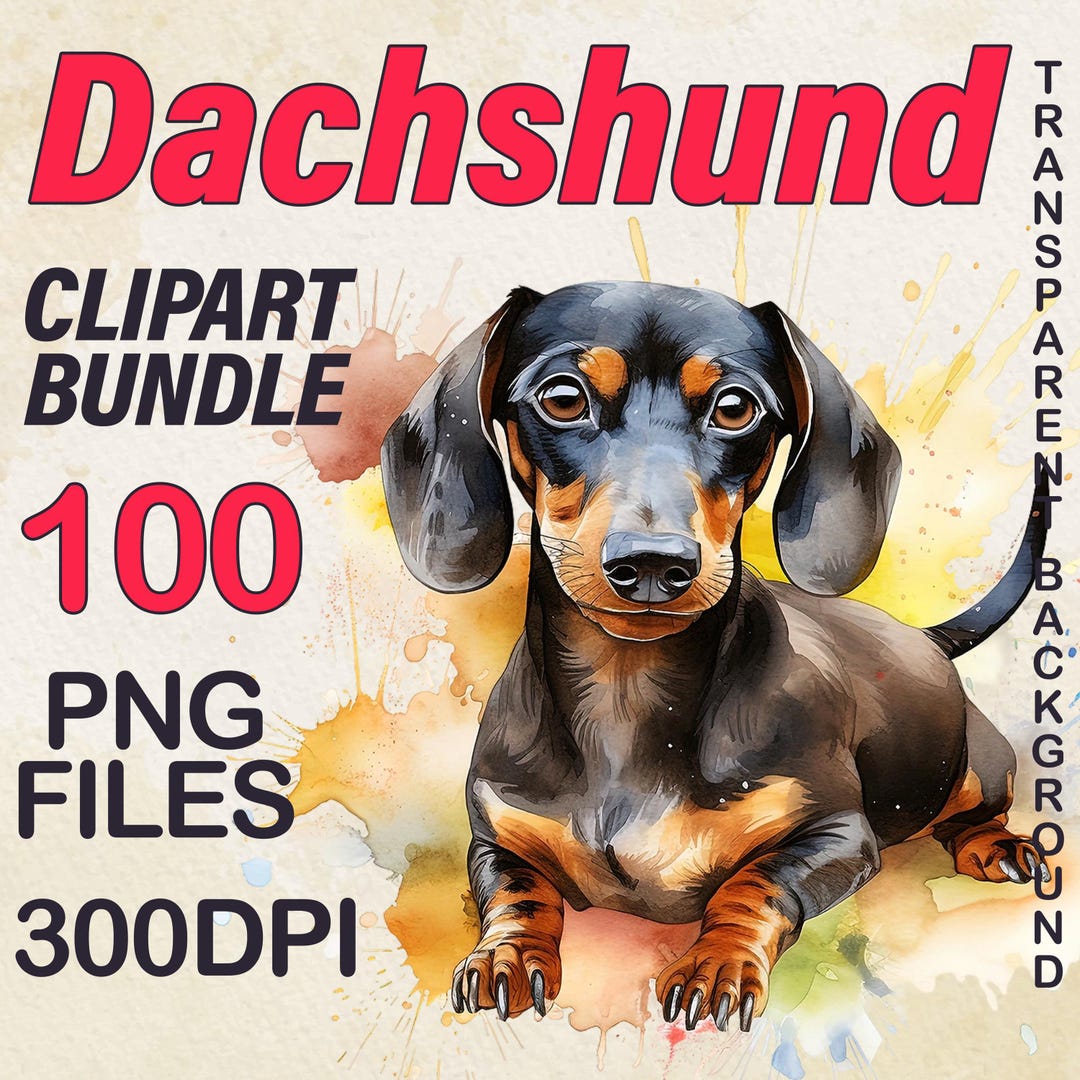Watercolor Dachshund Clipart Bundle - 100 Png's, Dachshund Images ...