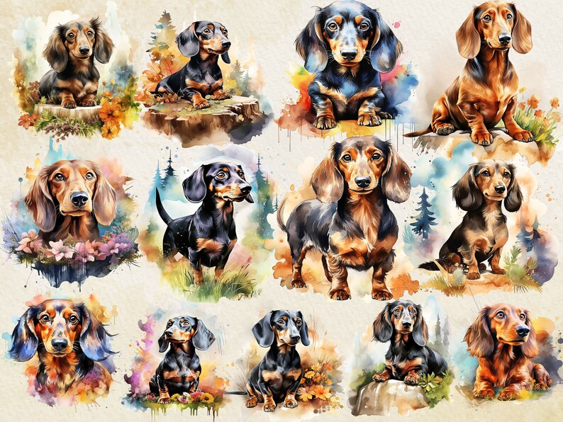 Watercolor Dachshund Clipart Bundle 100 Png's, Dachshund Images ...
