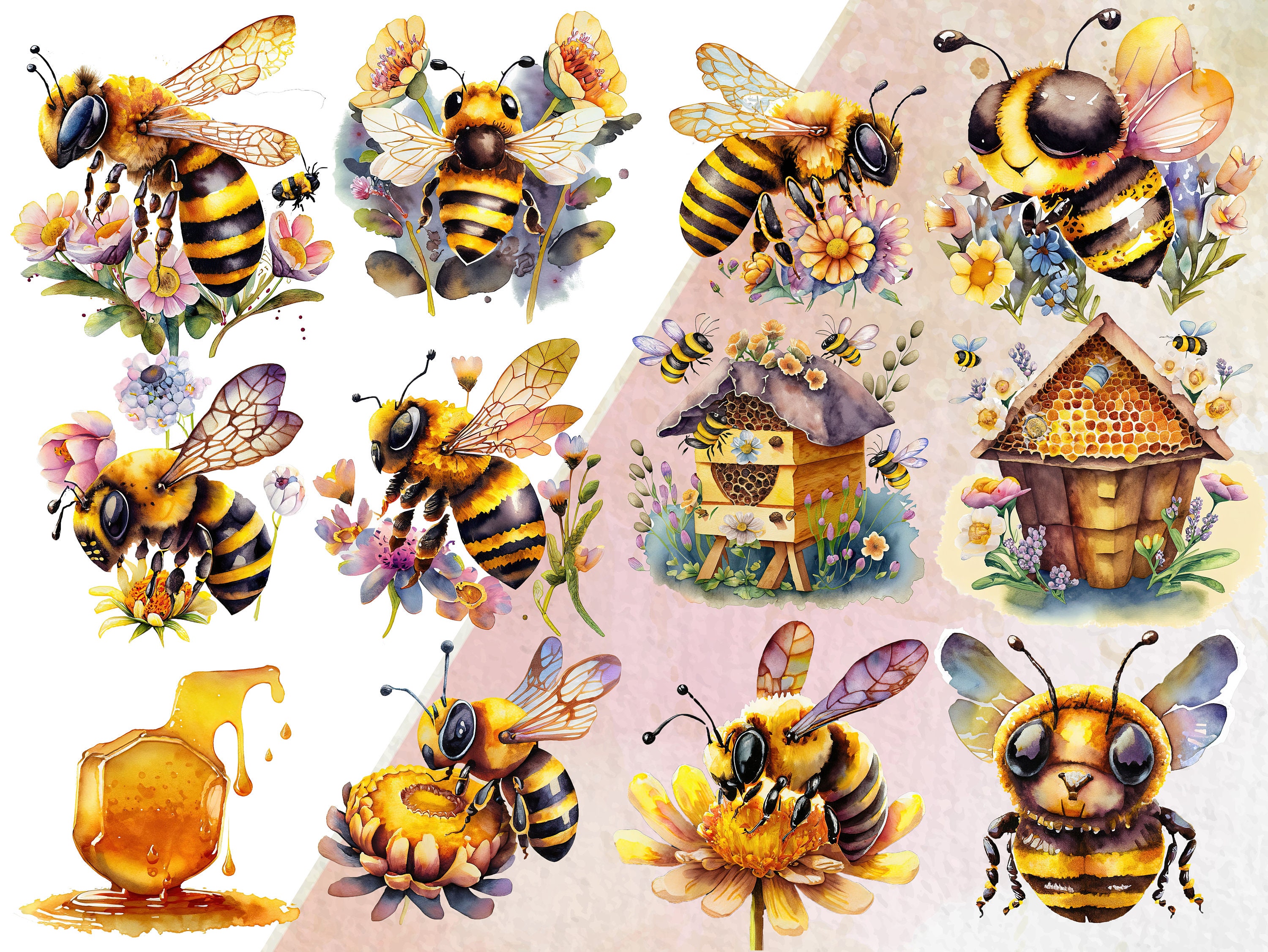 Watercolor Honey Bee Clipart Bundel 52 Transparent PNG Digital Image ...