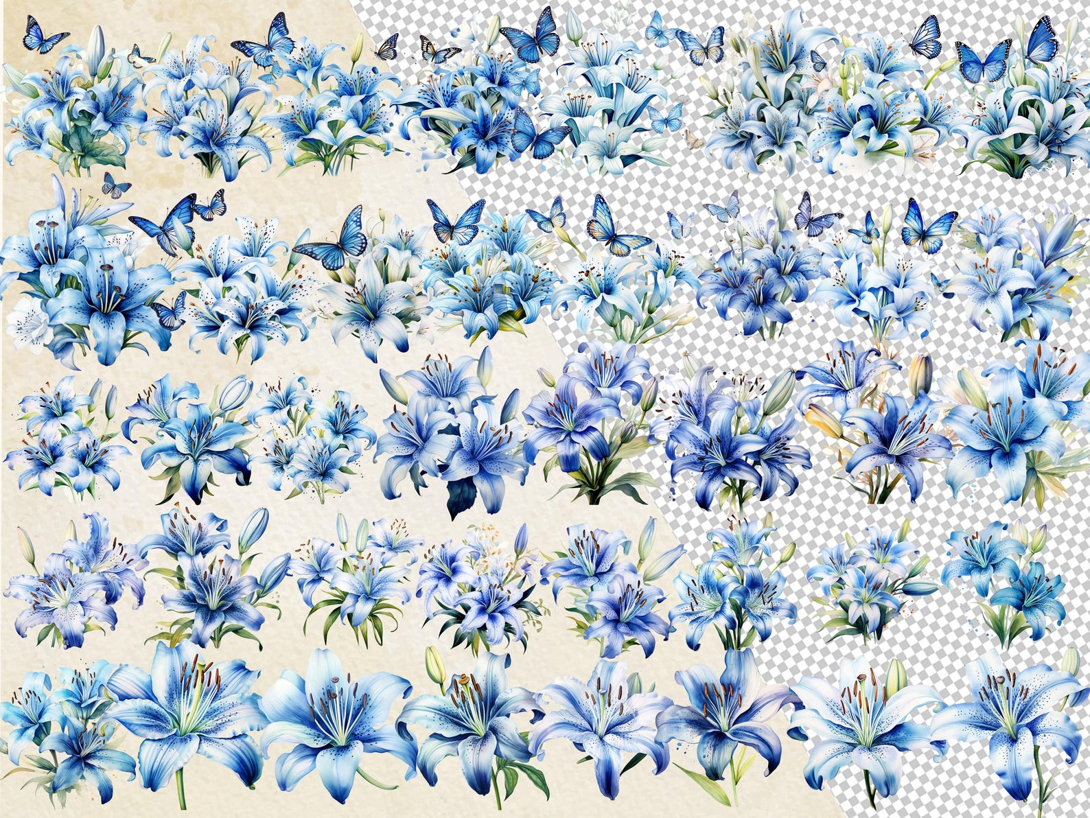 Watercolor Blue Lily Clipart Bundle - 185 Png's, Beautiful Floral ...