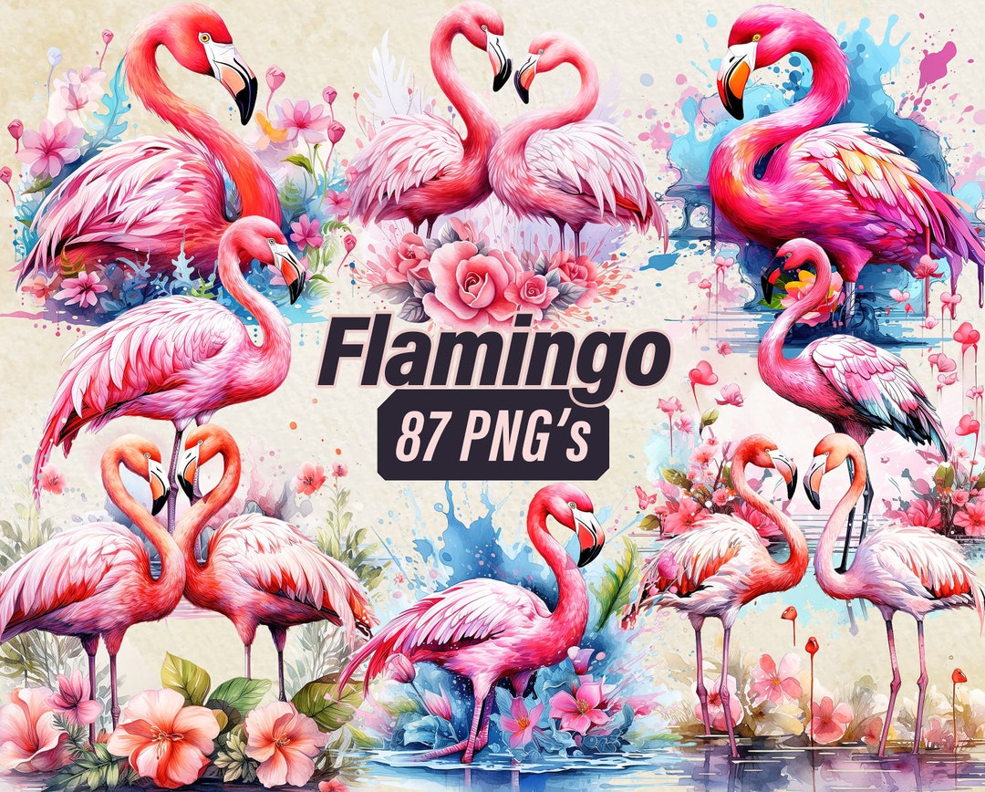 Watercolor Flamingo Clipart Bundle 87 Png's, Pink Flamingos, Watercolor ...