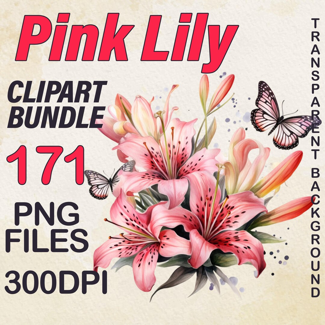 Watercolor Pink Lily Clipart Bundle - 171 Png's, Beautiful Floral ...