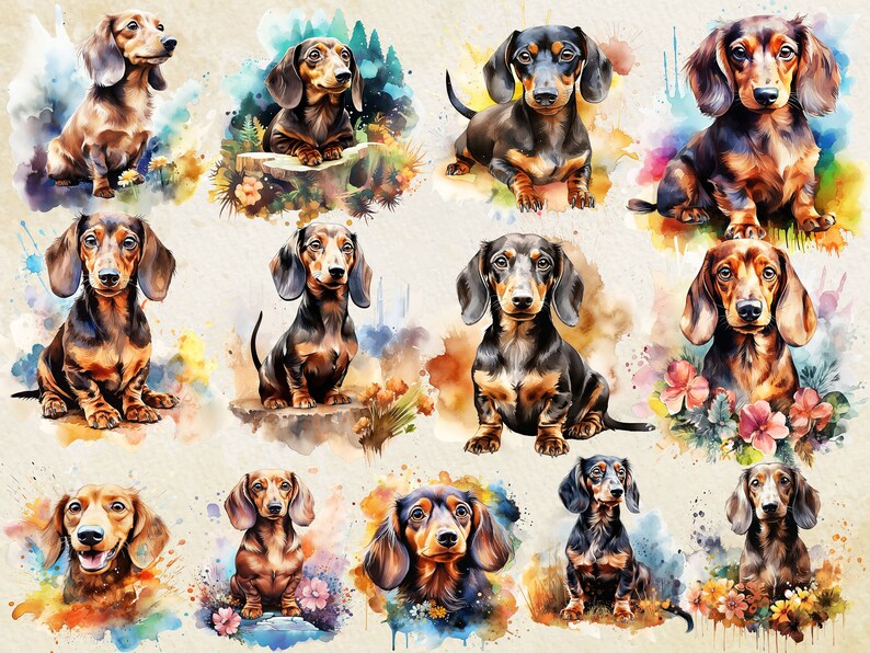 Watercolor Dachshund Clipart Bundle 100 Png's, Dachshund Images ...