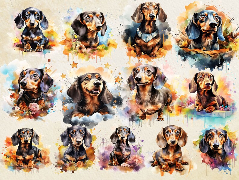 Watercolor Dachshund Clipart Bundle 100 Png's, Dachshund Images ...