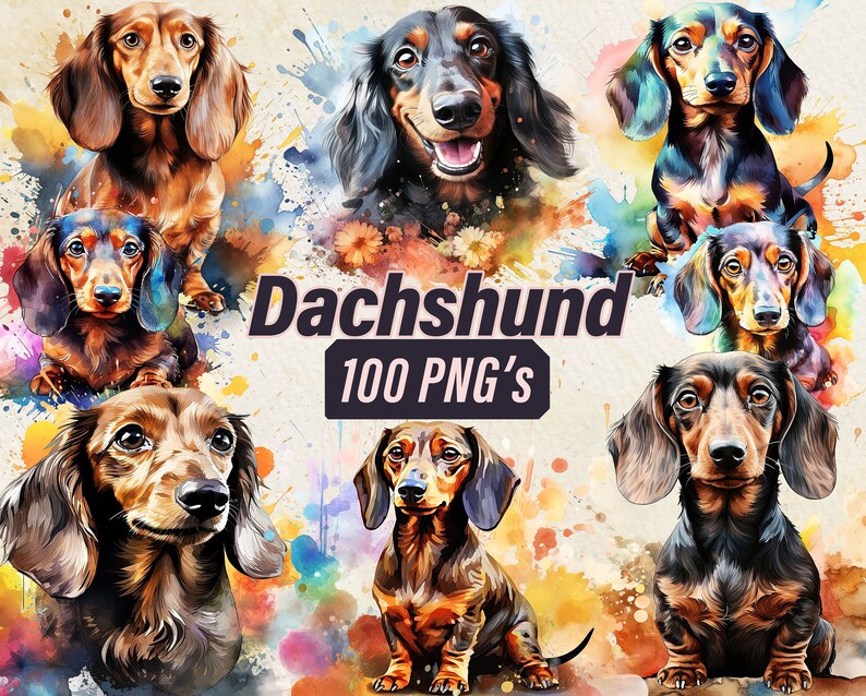 Watercolor Dachshund Clipart Bundle 100 Png's, Dachshund Images ...