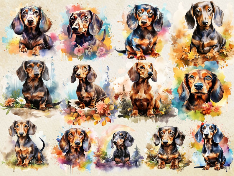 Watercolor Dachshund Clipart Bundle 100 Png's, Dachshund Images ...