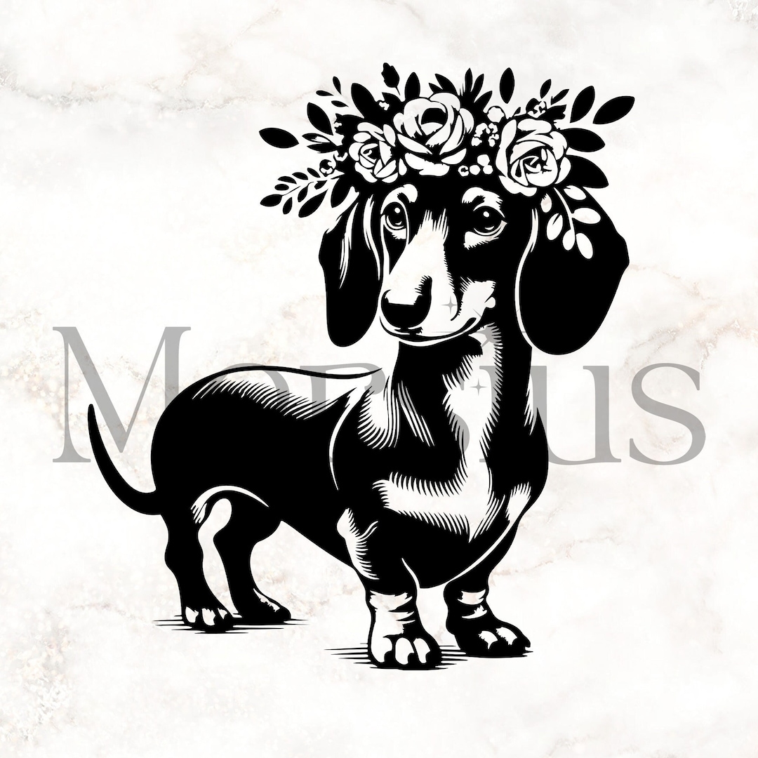 Dachshund Svg, Dachshund Mom Svg, Dachshund Png, Daschund Shirt Svg ...