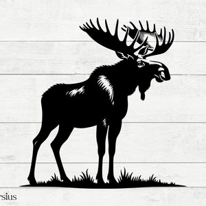 Moose Svg Bundle, Moose Svg, Moose Head Svg, Moose Clipart, Moose Cut ...