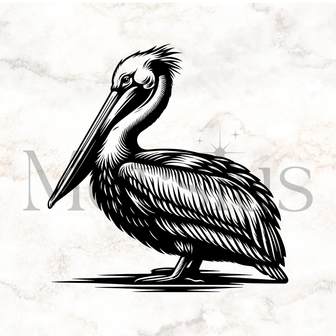 Pelican Svg, Brown Pelican Svg, Pelican Cut Files for Cricut, Pelican ...