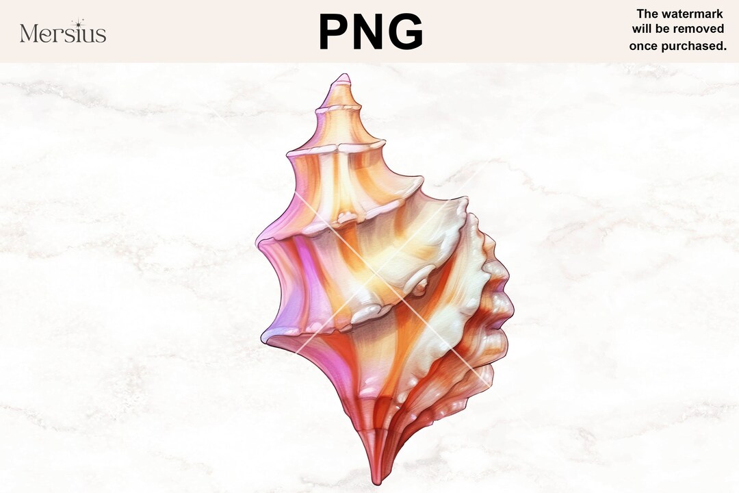 Pink Sea Shell PNG, Sea Shell Clipart, Seashell Clipart, Giant Clam ...