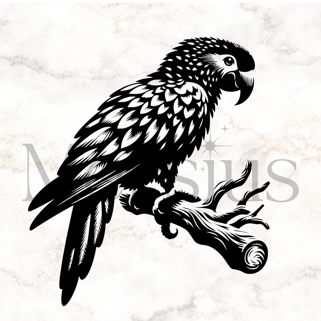 Parrot Svg, Parrot Clipart, Parrot Silhouette Svg, Parrot Cut File ...
