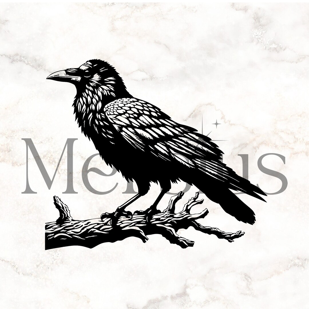 Crow Svg, Crow Clipart, Crow Png, Crow Silhouette, Raven Svg, Crow Cut ...