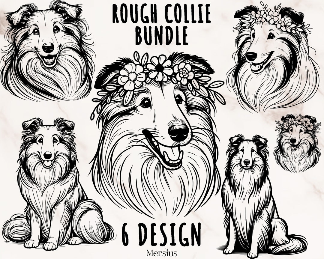Rough Collie Svg Bundle, Rough Collie Svg, Rough Collie Clipart, Rough ...