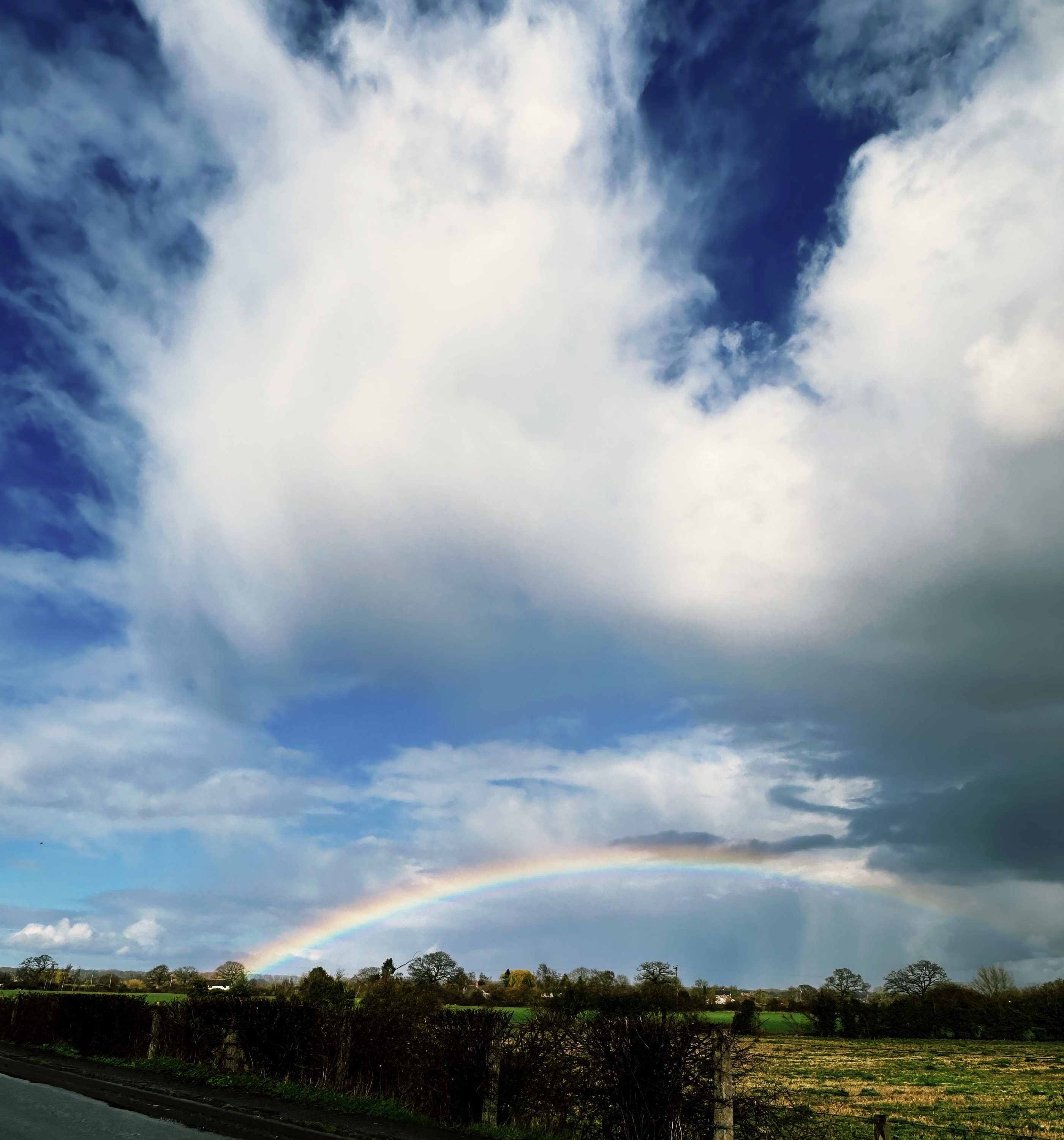 Lemurian Rainbow Dragons Activation - Upgrade Blueprint Template Light ...