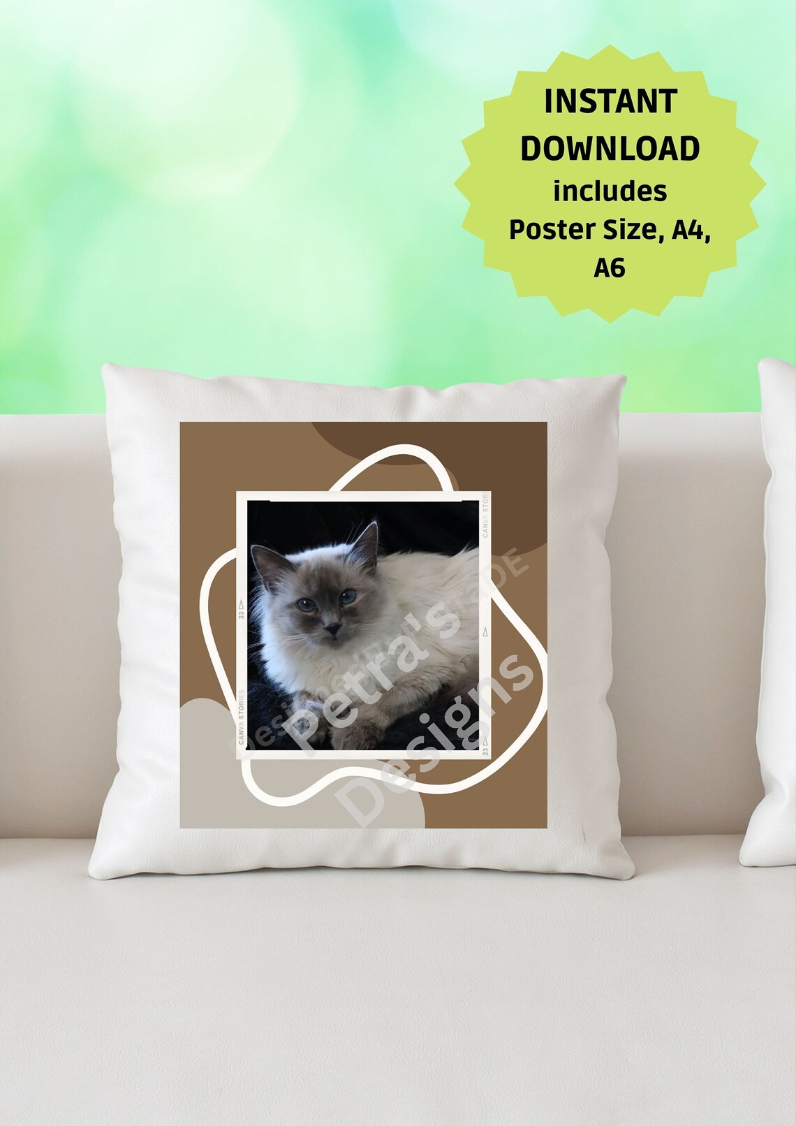 7 Different Cats Pictures in a Set, St Birman Cat Family, Kittens ...