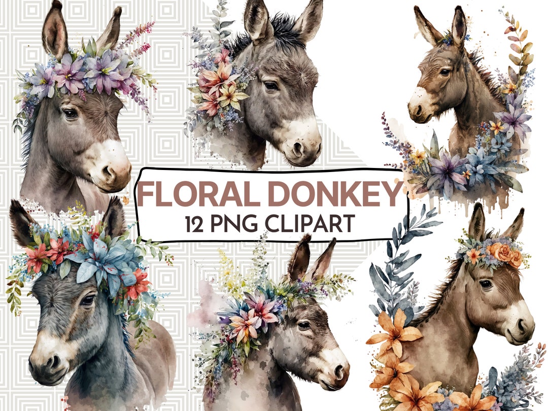 Floral Donkey PNG Clipart 12 Transparent Watercolor Clipart Junk ...