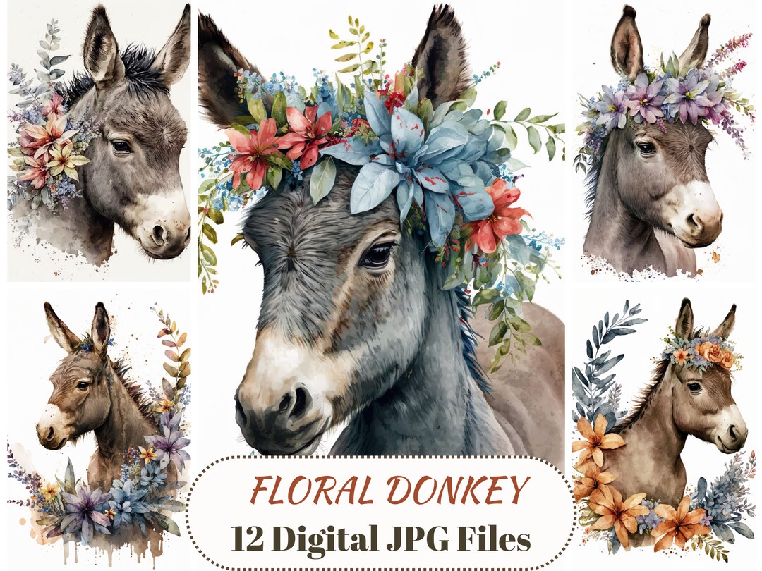 Floral Donkey Illustration Bundle, Watercolor Clip Art, Printable Art ...