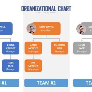 SUPER BUNDLE: Automatic Organizational Chart Maker, Editable Template ...