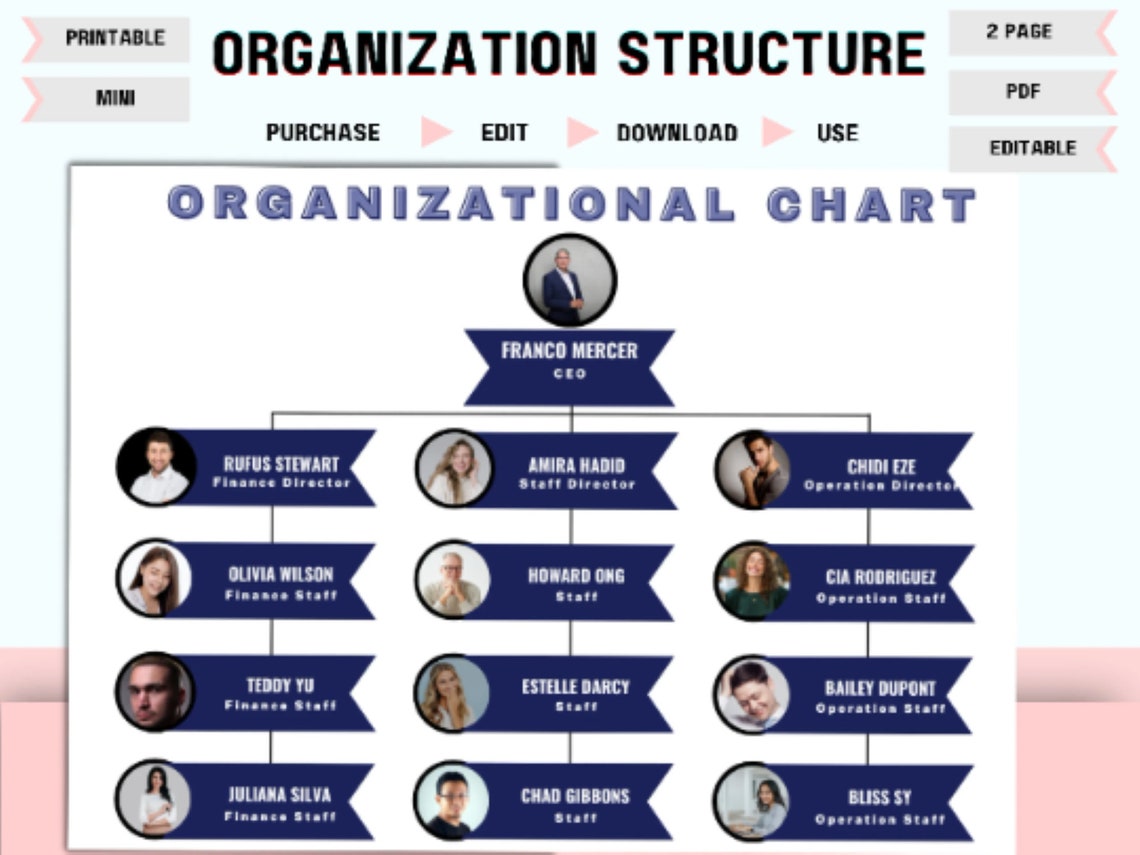 SUPER BUNDLE: Automatic Organizational Chart Maker, Editable Template ...