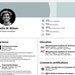 Professional CV Template With Linkedin Flair: Make Your Resume Stand ...