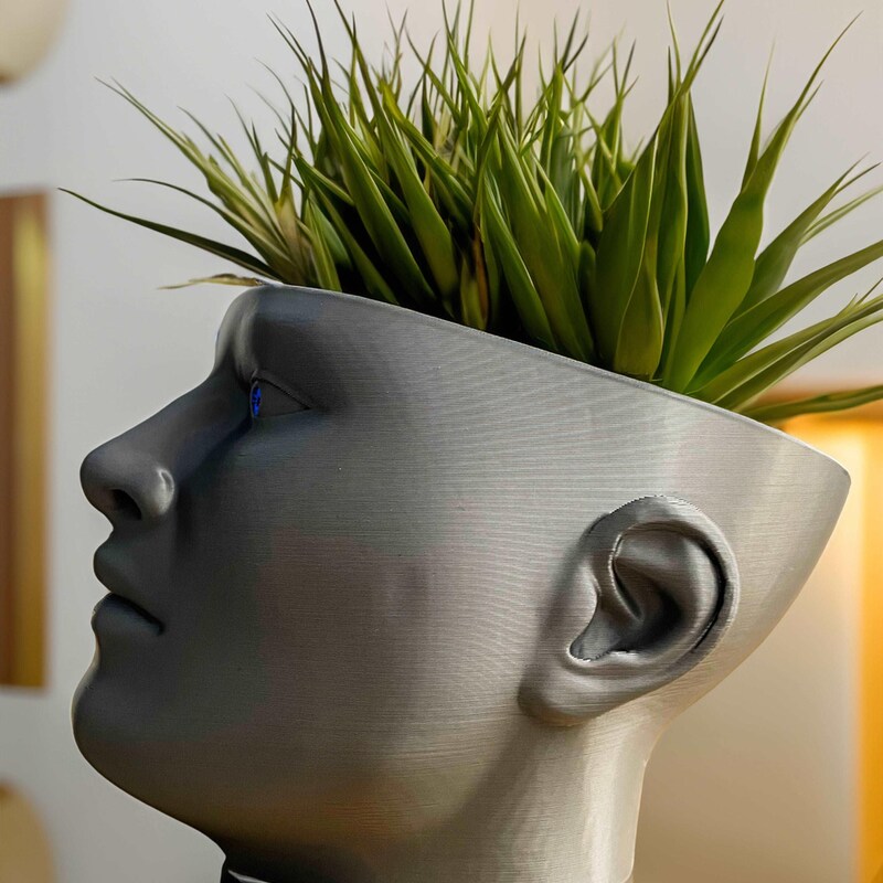Head Planter - Etsy