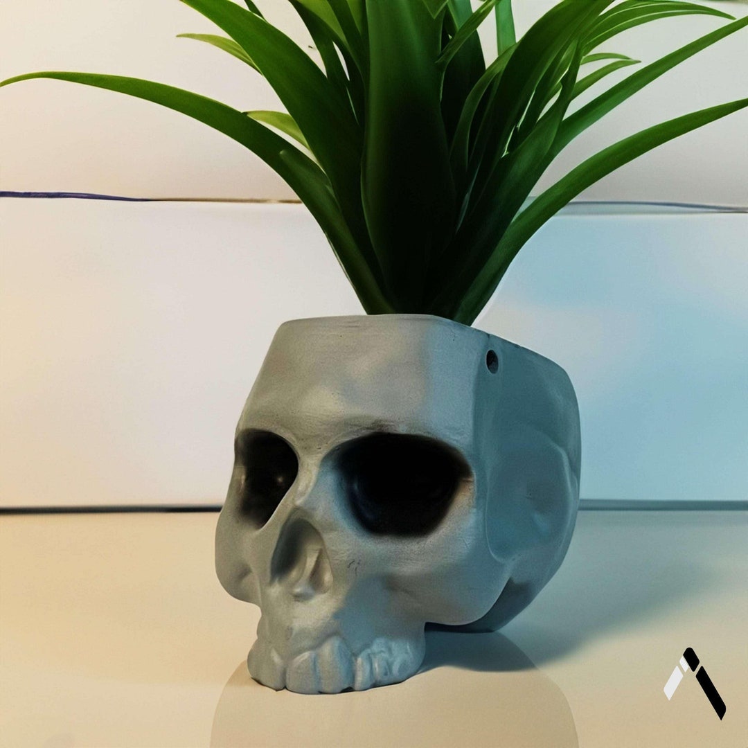 Ceramic Skull Planter: Gothic Home Decor Vase, Succulent Plant Pot - Etsy