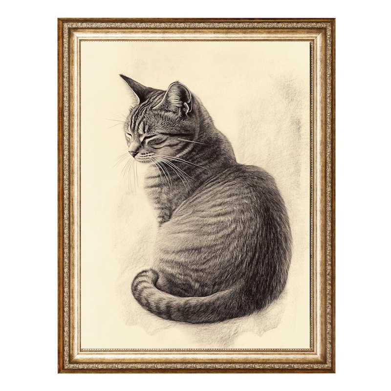 Cat Pencil Drawing - Etsy UK