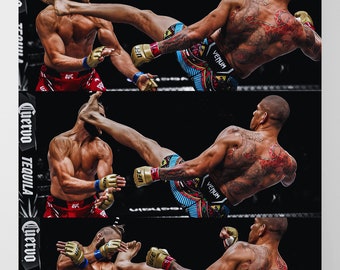 UFC 303 Limited Edition Poster / Pereira Vs Prochazka UFC 303 Poster ...