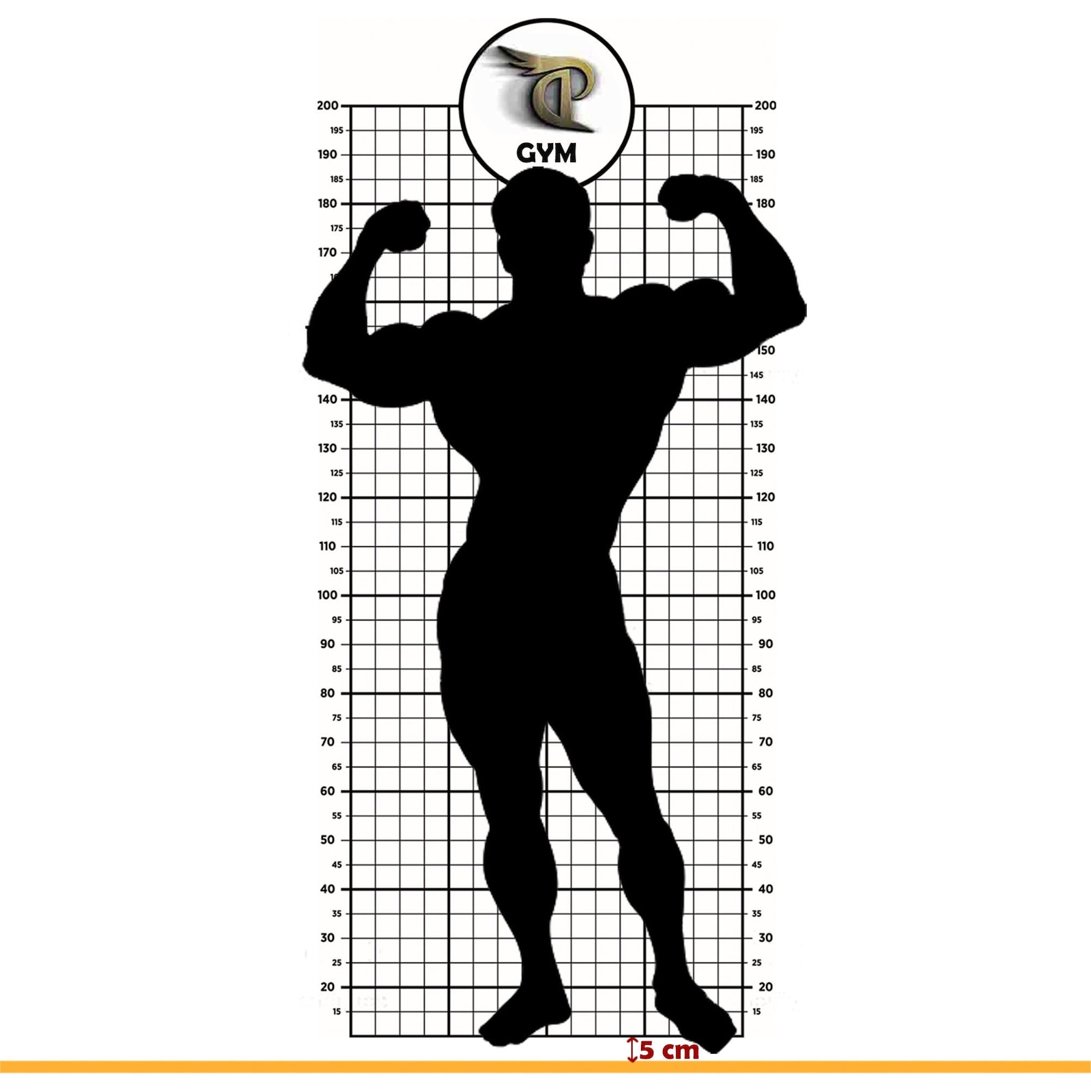 Posture Grid ( Bodybuilding, Fitness, Body Muscle Proportions ) - Etsy