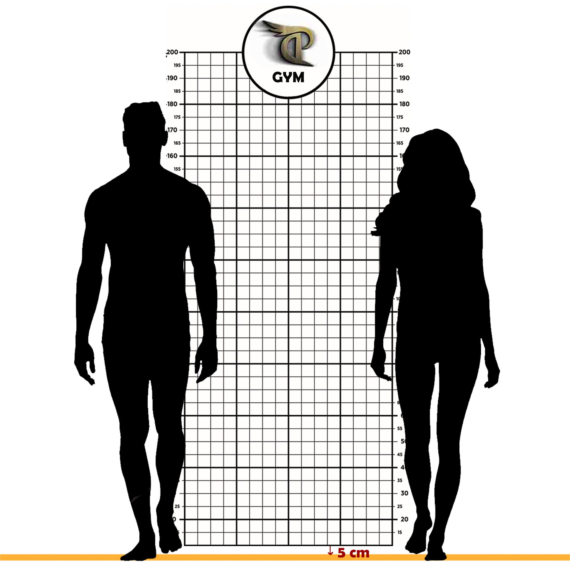 Posture Grid ( Bodybuilding, Fitness, Body Muscle Proportions ) - Etsy