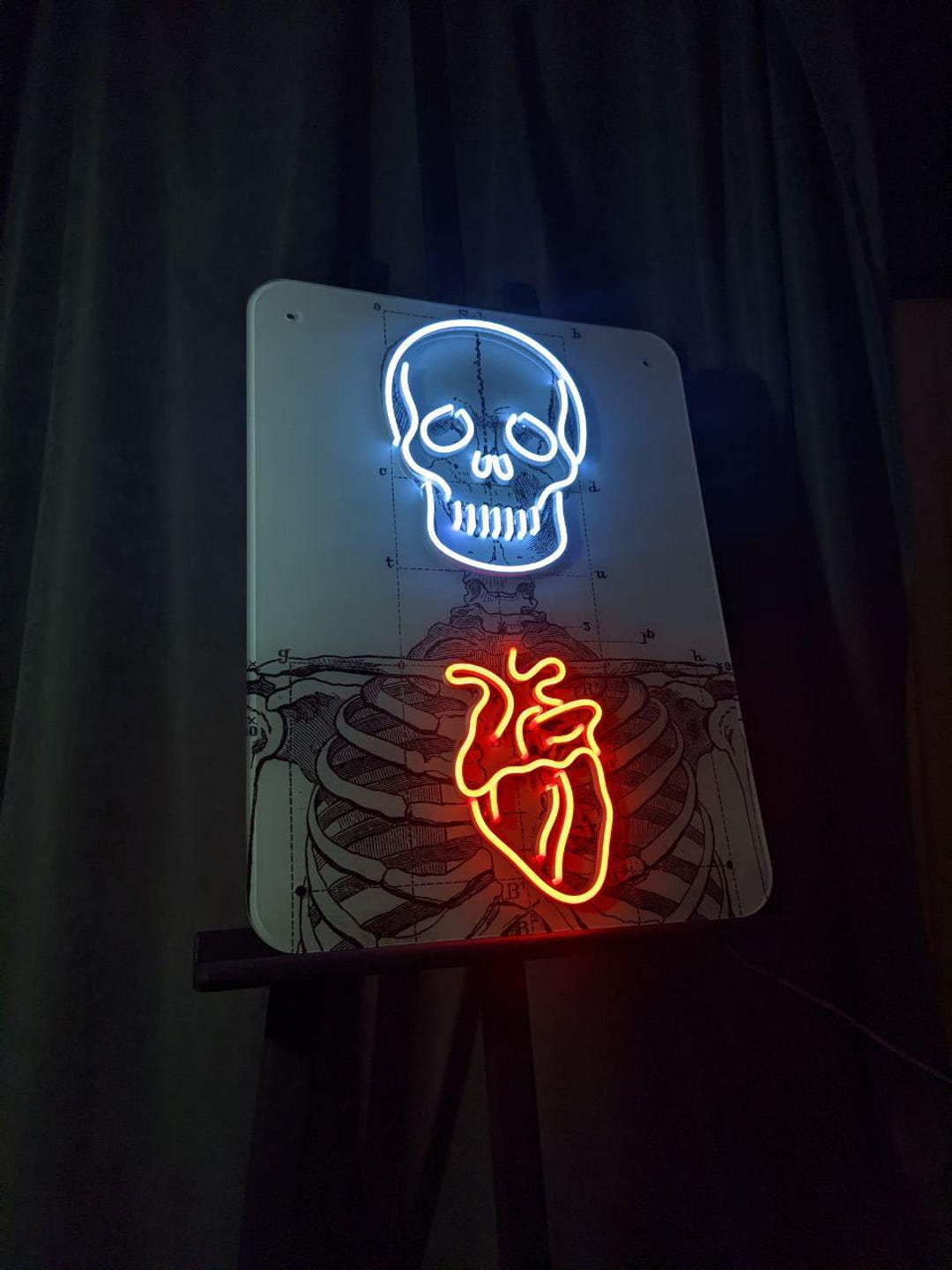 Skull and Heart Neon Sign: Gothic Medical Anatomy LED Wall Art - Etsy