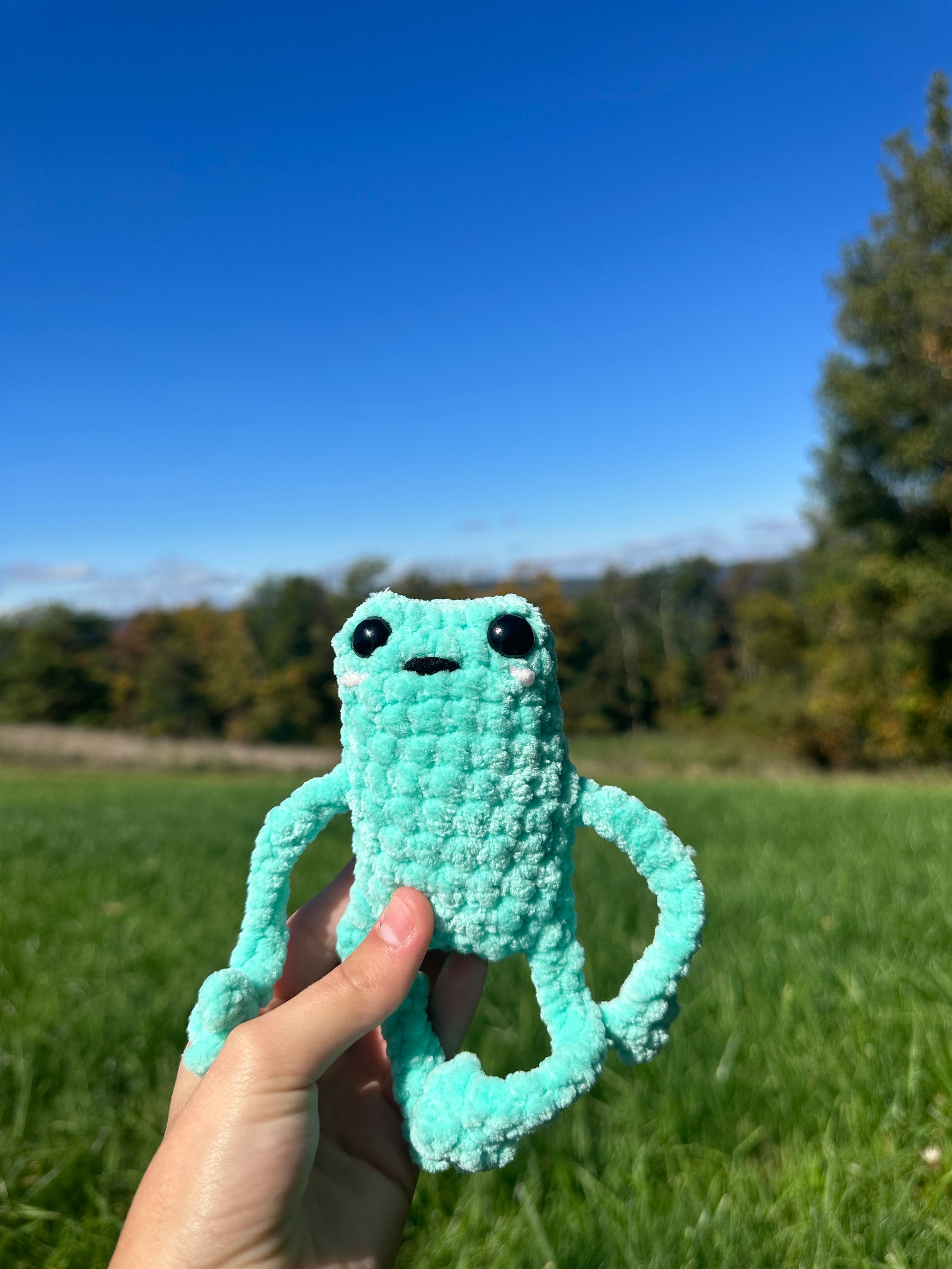 Cute Crochet Leggy Froggies Made to Order - Etsy
