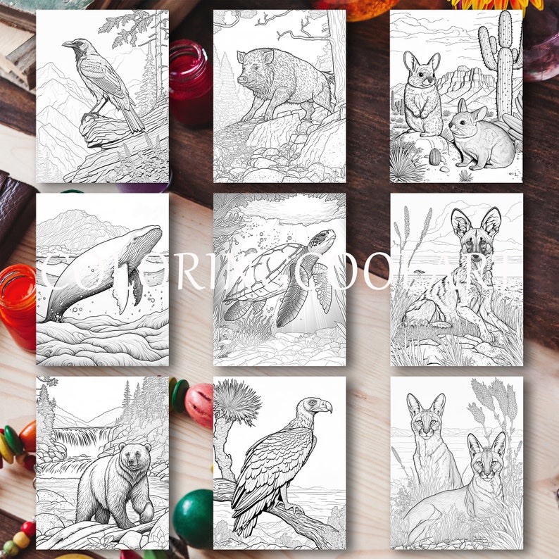 25 Animal Kingdom Coloring Pages for Adults, Kids, Instant Download ...